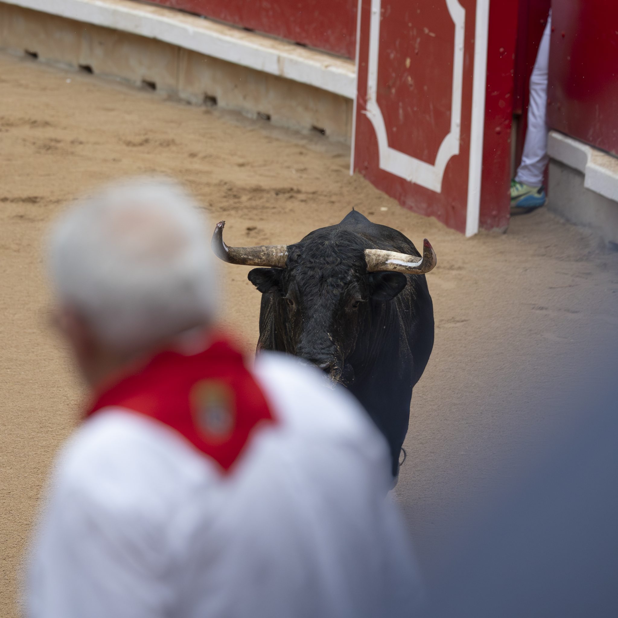 El señor y el toro – Concurso fotográfico San Fermín 2025